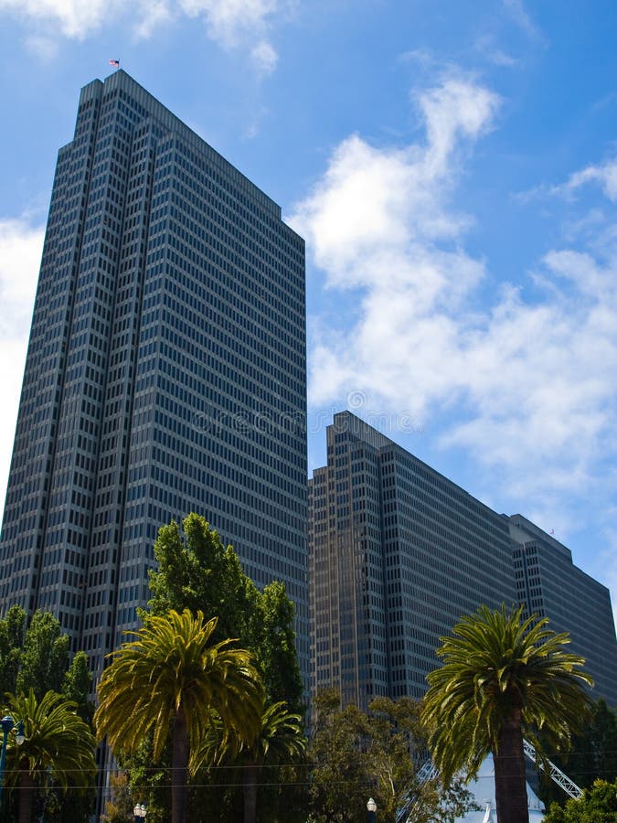 Palm Trees in an Urban Setting Stock Image - Image of rise, building ...