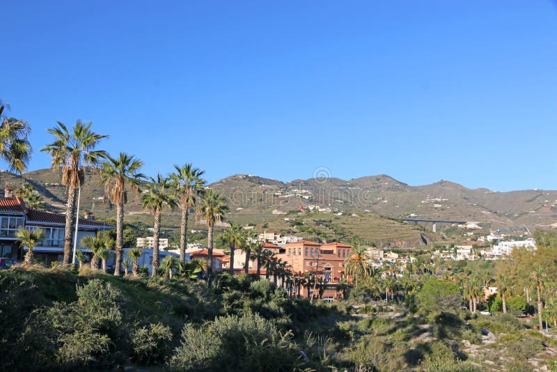 Palm Trees in Velilla, Spain Stock Image - Image of andalucia, tropical ...