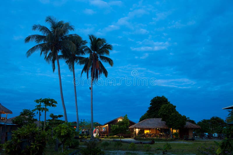 Palm trees in Village stock photo. Image of vacation - 25456748
