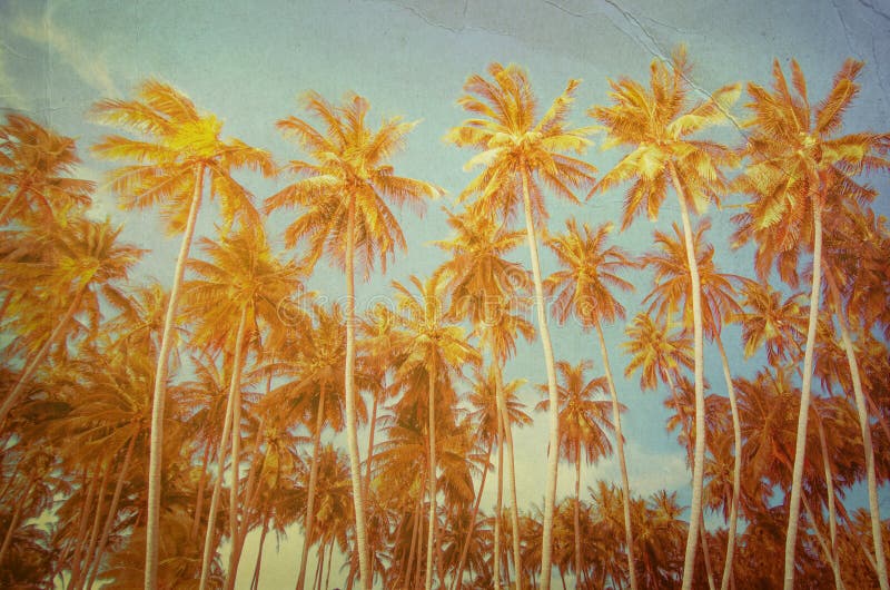 Palm Trees Vintage Style Old Postcard Stock Image - Image of landscape ...