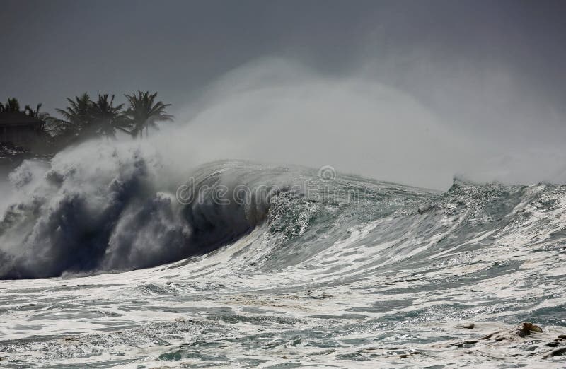 Palm trees and wave stock image. Image of outdoors, shore - 74742403