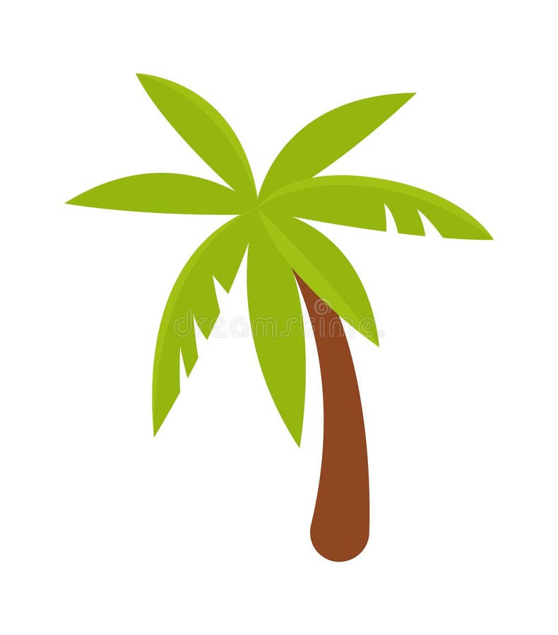 Palm Tropical Tree stock vector. Illustration of palm - 277010119 Palm Tropical Tree stock vector. Illustration of palm - 277010119