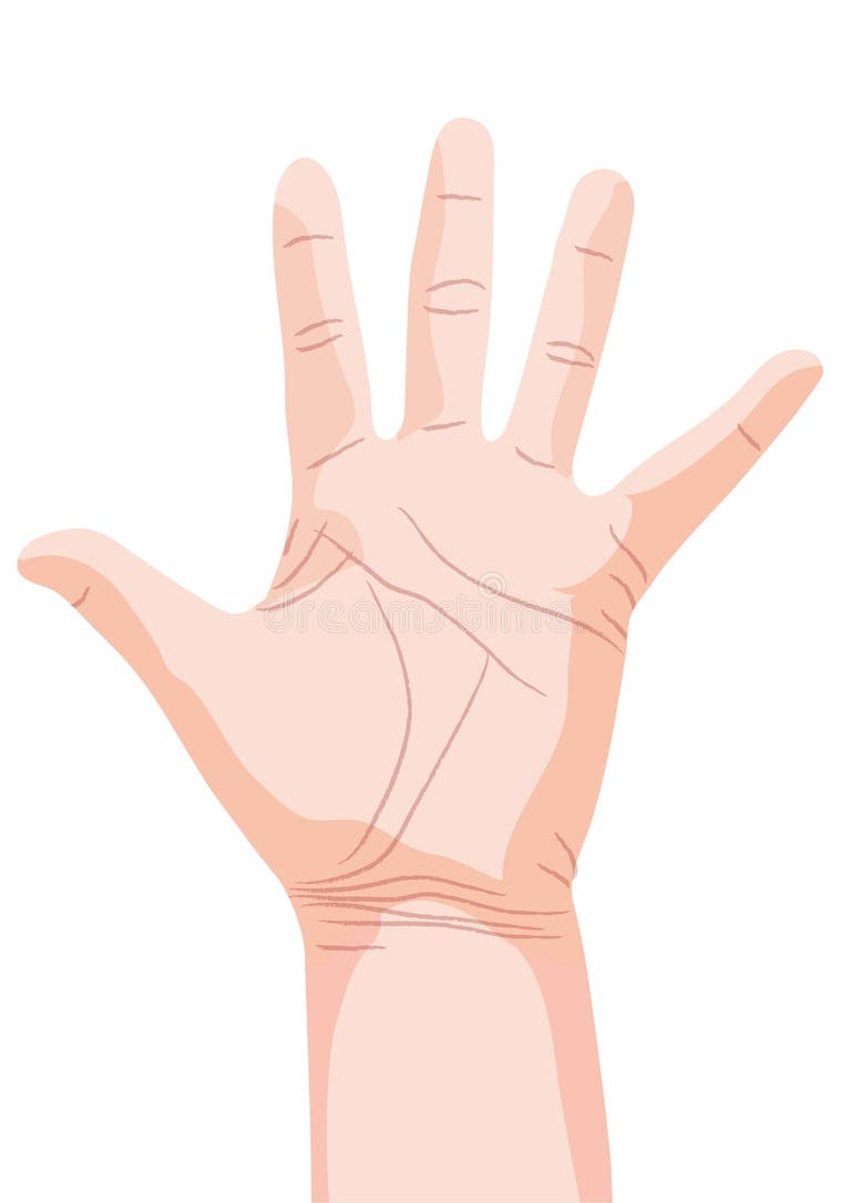 Hand Palm Reading Stock Illustrations – 835 Hand Palm Reading Stock ...