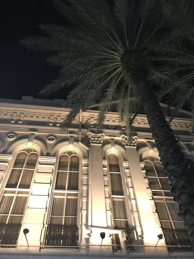 Palm and Windows stock image. Image of tree, windows - 90476673