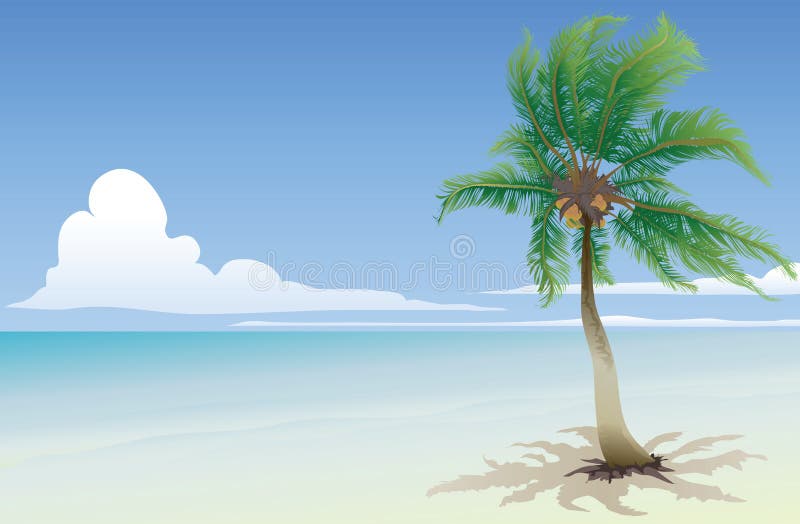 Conjunto Realista De Palma De Coco Ilustración del Vector - Ilustración ...