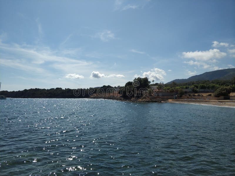 Palma de Mallorca stock image. Image of tree, blue, mallorca - 147759781