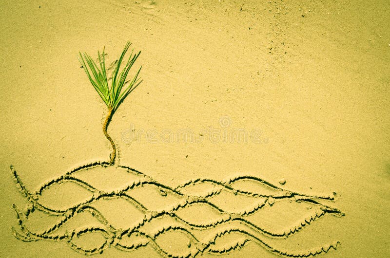 Palma en arena imagen de archivo. Imagen de concepto - 44073263