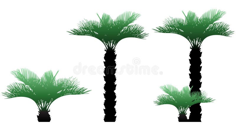 Siluetas Del Vector De Palmas Ilustración del Vector - Ilustración de ...