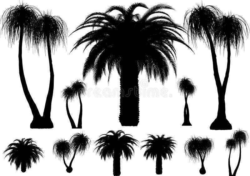 Palmas Y árboles Del Vector Ilustración del Vector - Ilustración de ...