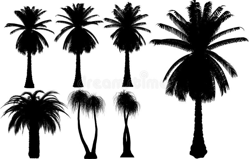 Palmas Y árboles Del Vector Ilustración del Vector - Ilustración de ...