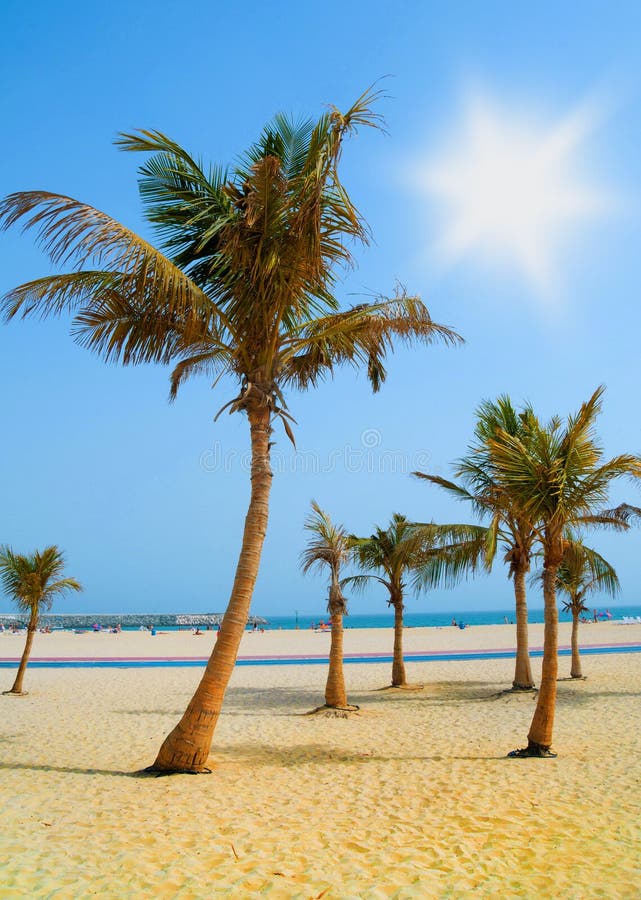 Palmen Auf Einem Strand in Fuengirola, Spanien Stockfoto - Bild von ...