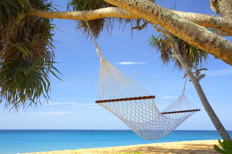 Palmen en hangmat stock foto. Image of ontspanning, oceaan - 3889880