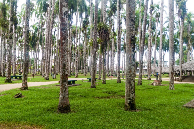 Palmentuin Park in Paramaribo Stock Photo - Image of landmark ...