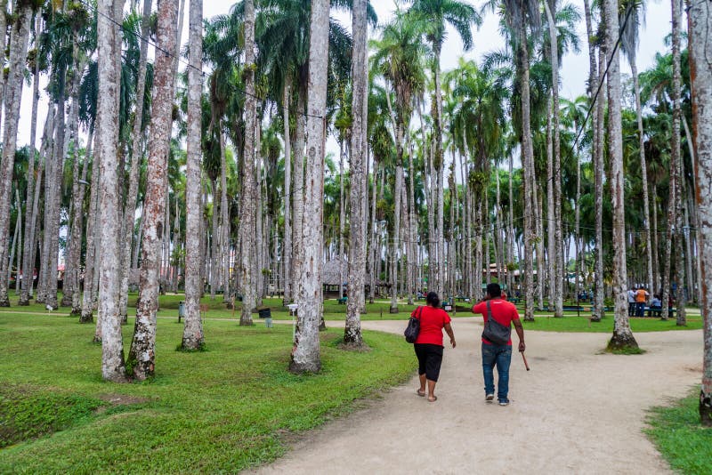 Palmentuin Park in Paramaribo Editorial Stock Photo - Image of lawn ...