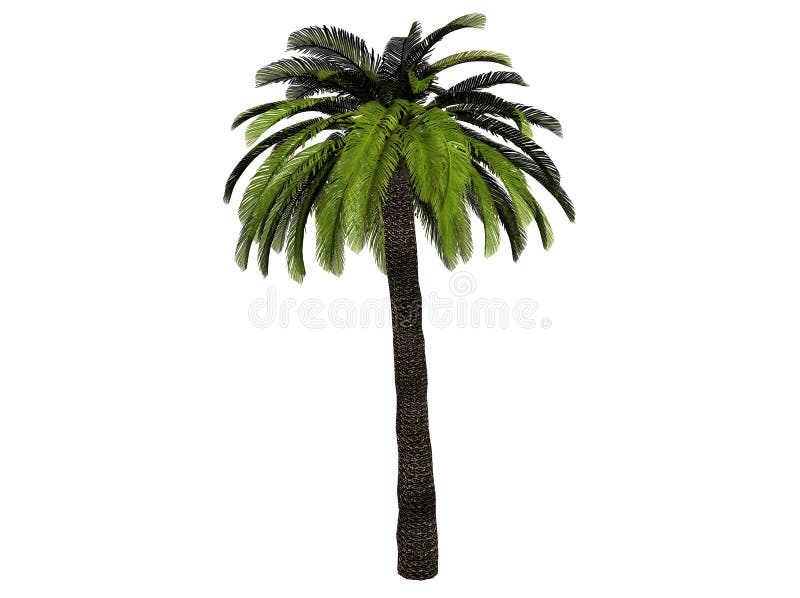 Oliver Lenz (Riedochse) - Photographer profile