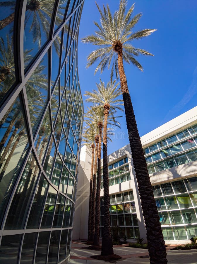 Palmera Y Edificio Moderno En El Campus De La Unlv Foto editorial ... Palmera Y Edificio Moderno En El Campus De La Unlv Foto editorial ...