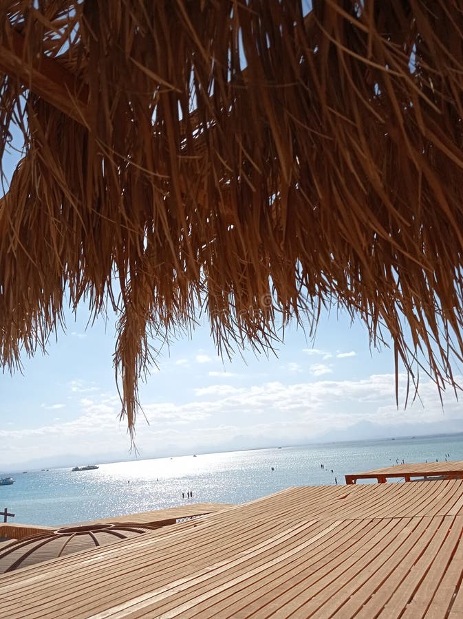 Palmeras Mar Sol Cielo Cielo Techo Verano Calor Playa De Egipto Calor ...