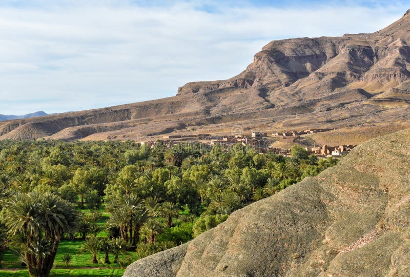 Palmiers dattiers au Maroc image stock. Image du emplacement - 90823303