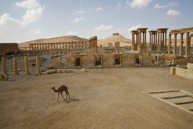 Palmira, Siria foto de archivo. Imagen de ciudad, imperio - 11101996