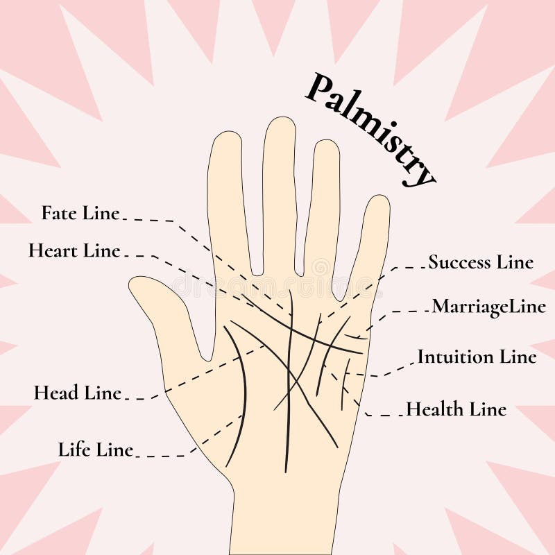 Palmistry. Guessing on the Hand. the Lines on the Hand. Stock Vector ...