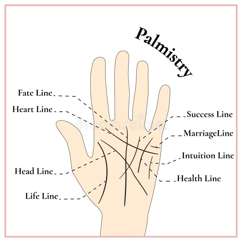 Palmistry. Guessing on the Hand. the Lines on the Hand. Stock Vector ...
