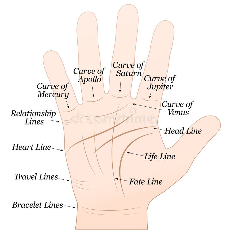 Palmistry Astrology Basic Analogies Chart Stock Vector - Illustration ...