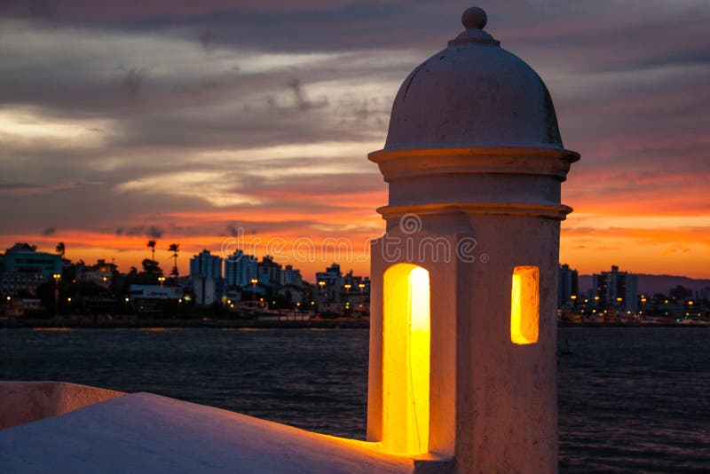 Palmiteiro stock afbeelding. Image of park, groen, boom - 94485143