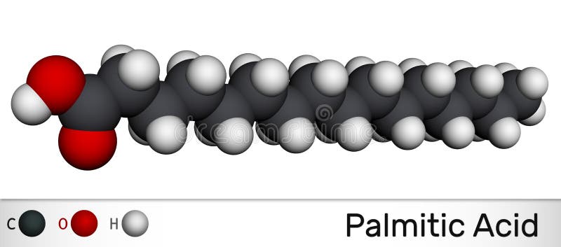 Palmitic Acid Molecule Made with Balls, Conceptual Molecular Model ...