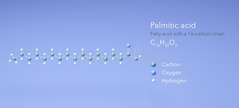 Palmitic Acid Molecule, Molecular Structures, Hexadecanoic Acid, 3d ...