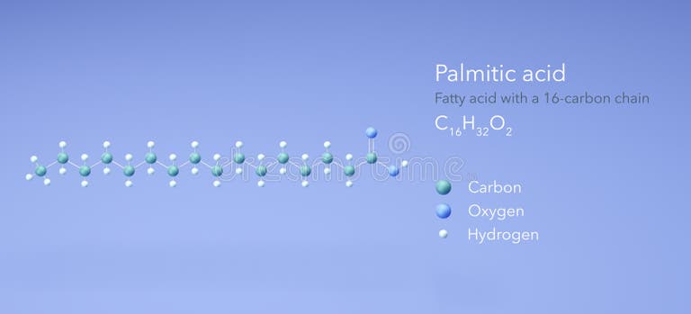 Palmitic Acid Molecule, Molecular Structures, Hexadecanoic Acid, 3d ...