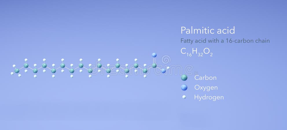Palmitic Acid Molecule, Molecular Structures, Hexadecanoic Acid, 3d ...
