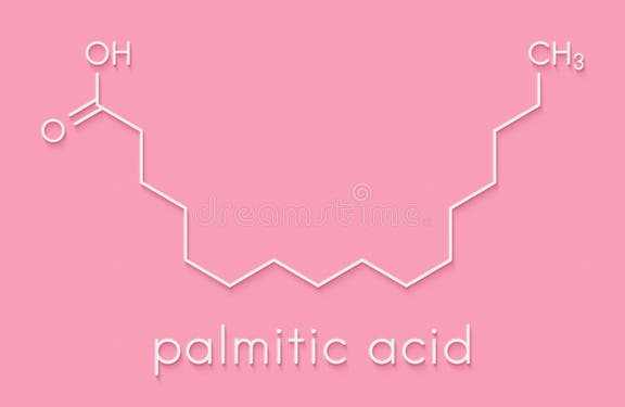 Palmitic Hexadecanoic Acid Saturated Fatty Acid Molecule. Skeletal ...
