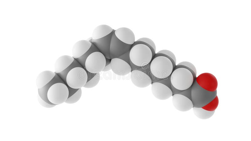 Palmitoleic Acid Molecule, Omega-7, Molecular Structure, Isolated 3d ...
