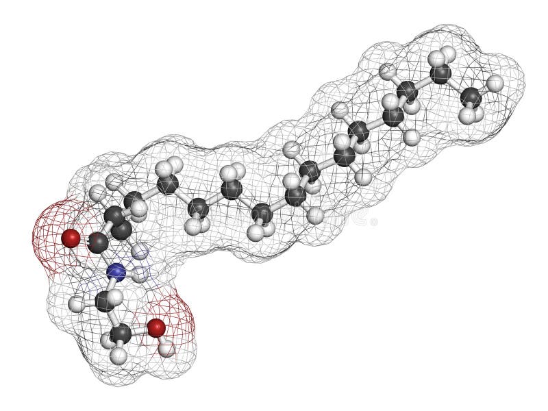 Palmitoylethanolamide PEA Drug Molecule. Skeletal Formula Stock Vector ...
