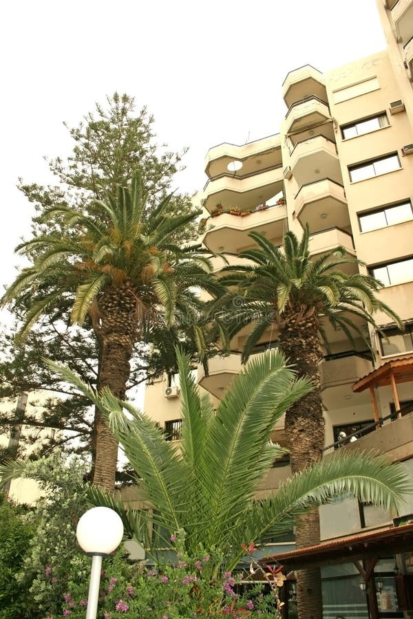Palms stock photo. Image of yellow, leaves, tropics, lamp - 4992924