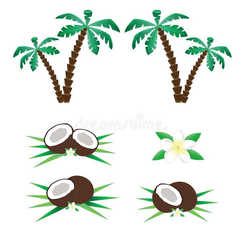 Coconuts, Flower, Leaves. Vector Stock Illustration Eps10. Stock Vector ... Coconuts, Flower, Leaves. Vector Stock Illustration Eps10. Stock Vector ...