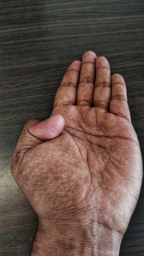 Human Palm stock photo. Image of muscles, small, ligaments - 347252196