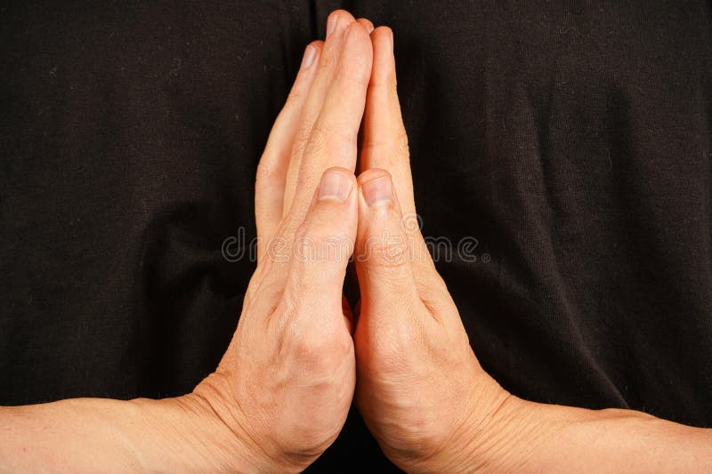 Palms Folded Together. Hands in a Gesture of Supplication. a Gesture ...