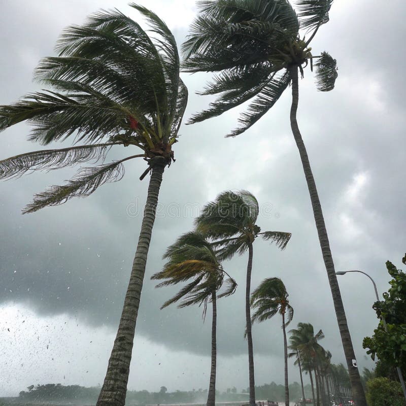 Strongwinds Stock Illustrations – 11 Strongwinds Stock Illustrations ...