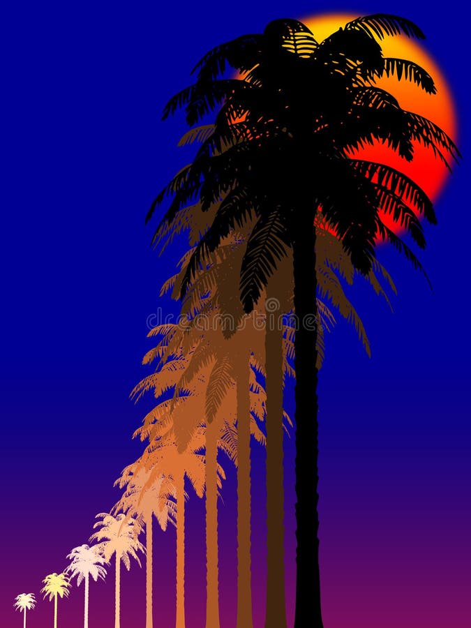Palms at night stock illustration. Illustration of tropical - 11375924