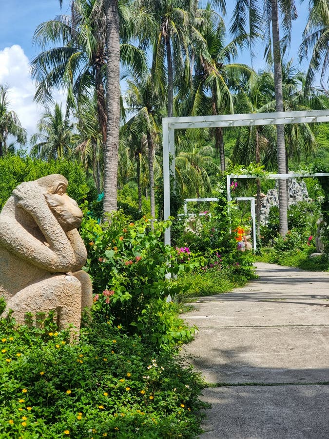 Palms road stock photo. Image of walkway, vegetation - 333500616