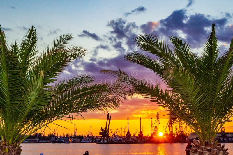 Sunset and Palm Trees at Varna Port Bulgaria Stock Image - Image of ...
