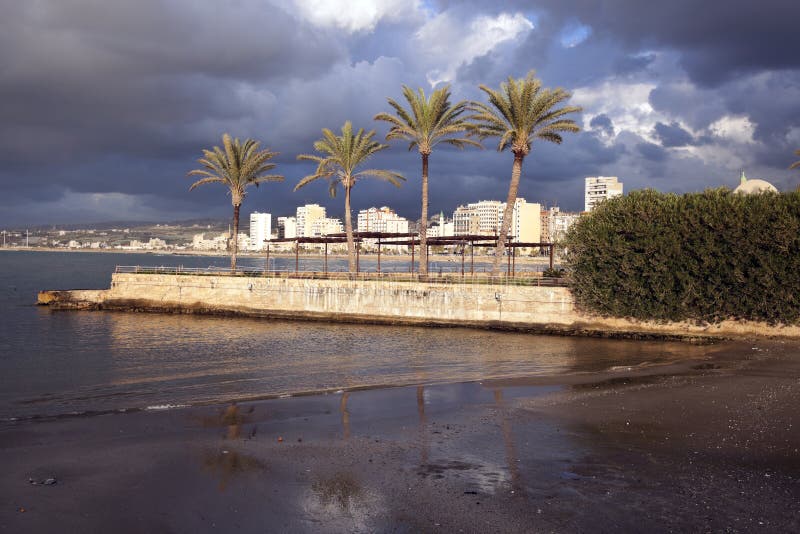 Palms in Sidon stock photo. Image of skyline, east, middle - 24142318