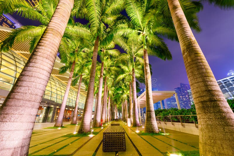 Palms in Singapore stock image. Image of colonnade, singapore - 67963041