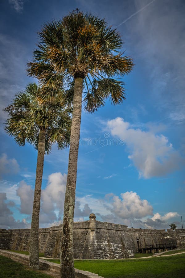 Palms Trees St Augustine Fort Stock Image - Image of ocean, ancient ...