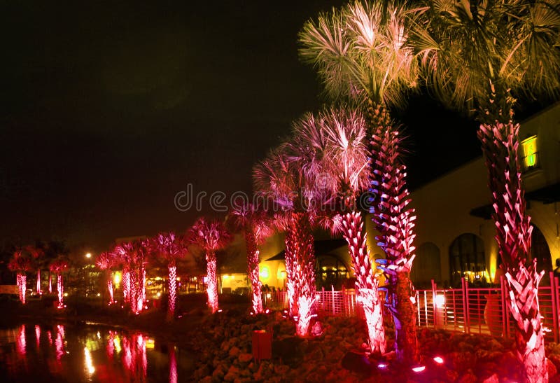 Palms under red light stock image. Image of dusk, coastline - 12747797