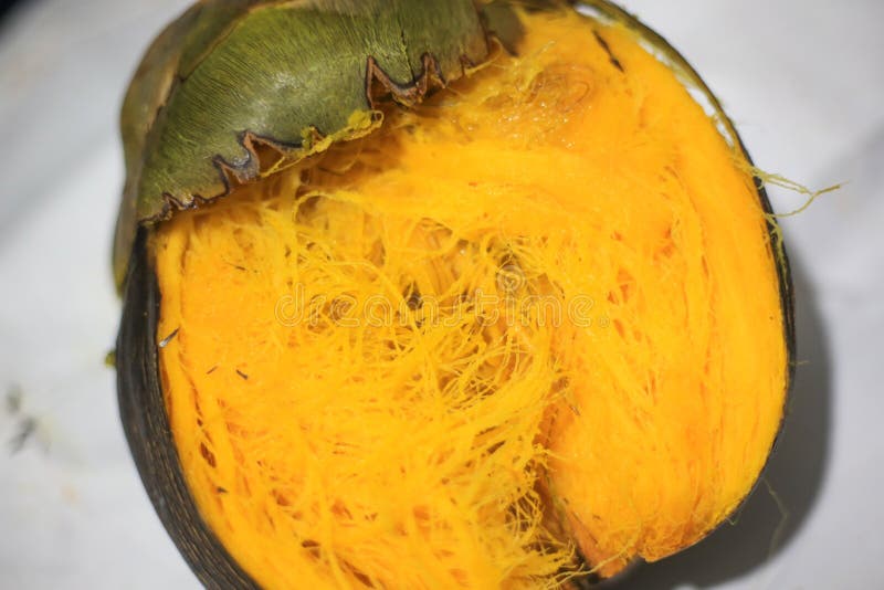 Palmyrah fruit stock photo. Image of borassus, palm - 204944404