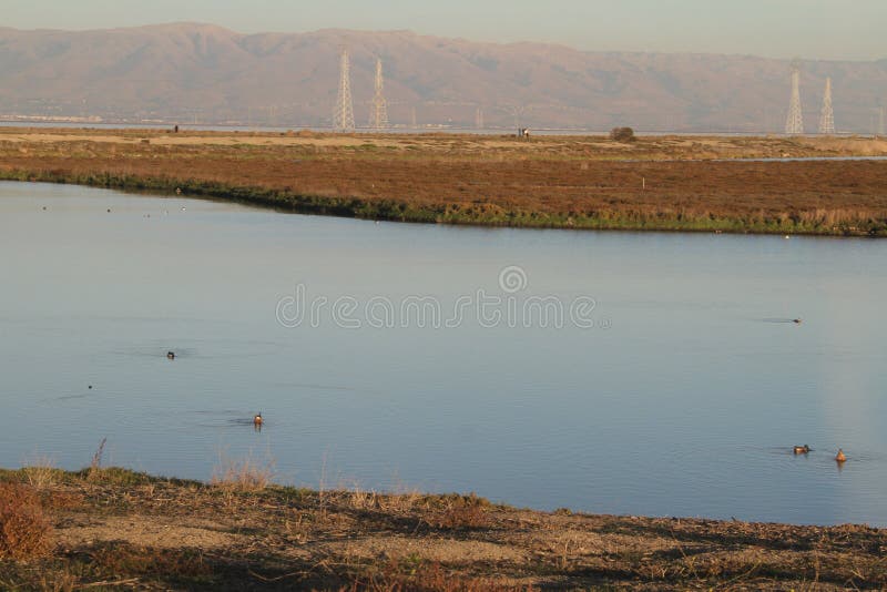 Palo Alto Baylands stock photo. Image of scenery, marsh - 66862298