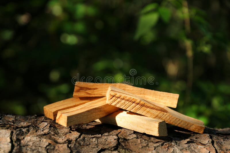 Palo Santo Sticks on Tree Bark Outdoors, Closeup Stock Photo - Image of ...