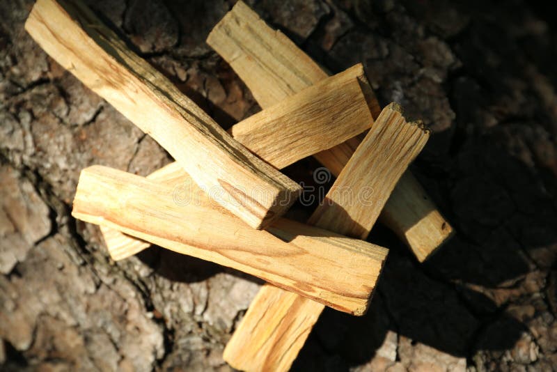 Palo Santo Sticks on Tree Bark, Top View Stock Photo - Image of ...